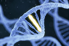 Genes, DNA, Stem Cells and Your Heart - McLeod Health