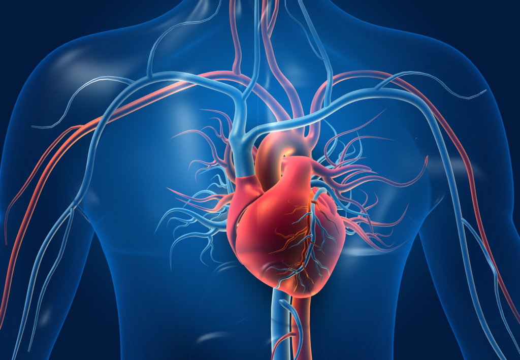 Laser Treatment for Advanced Heart Disease Changing Lives - McLeod Health