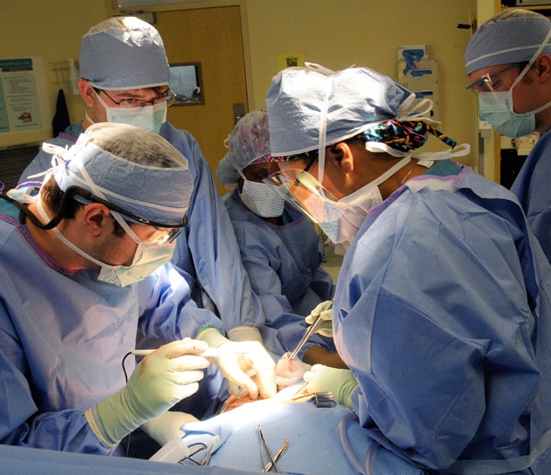 McLeod Regional Medical Center Florence - McLeod Health