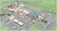 About Our Area - McLeod Health